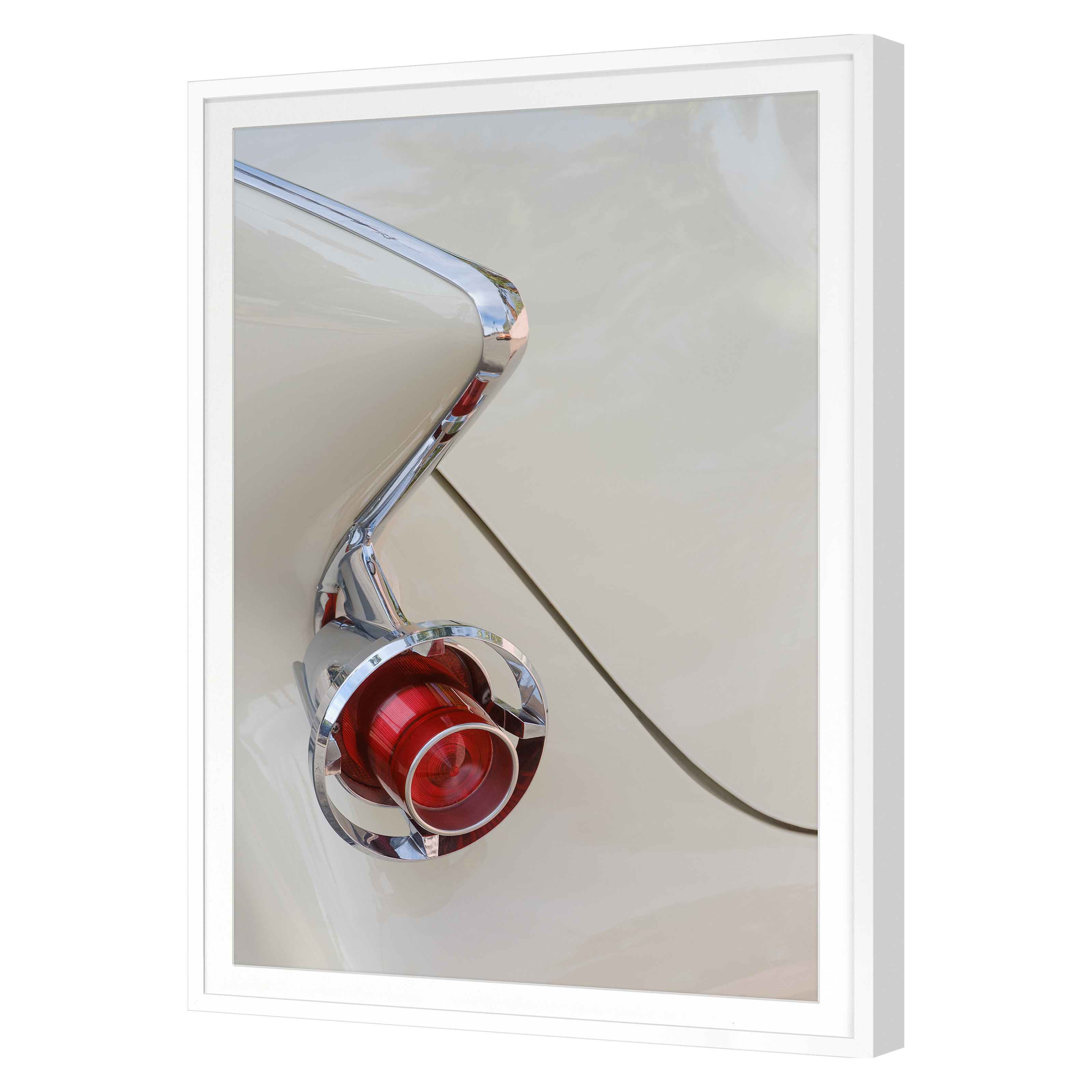 Grand Image Home Fall 2022 Imperial Tail Fin Framed On Paper by Mimi ...