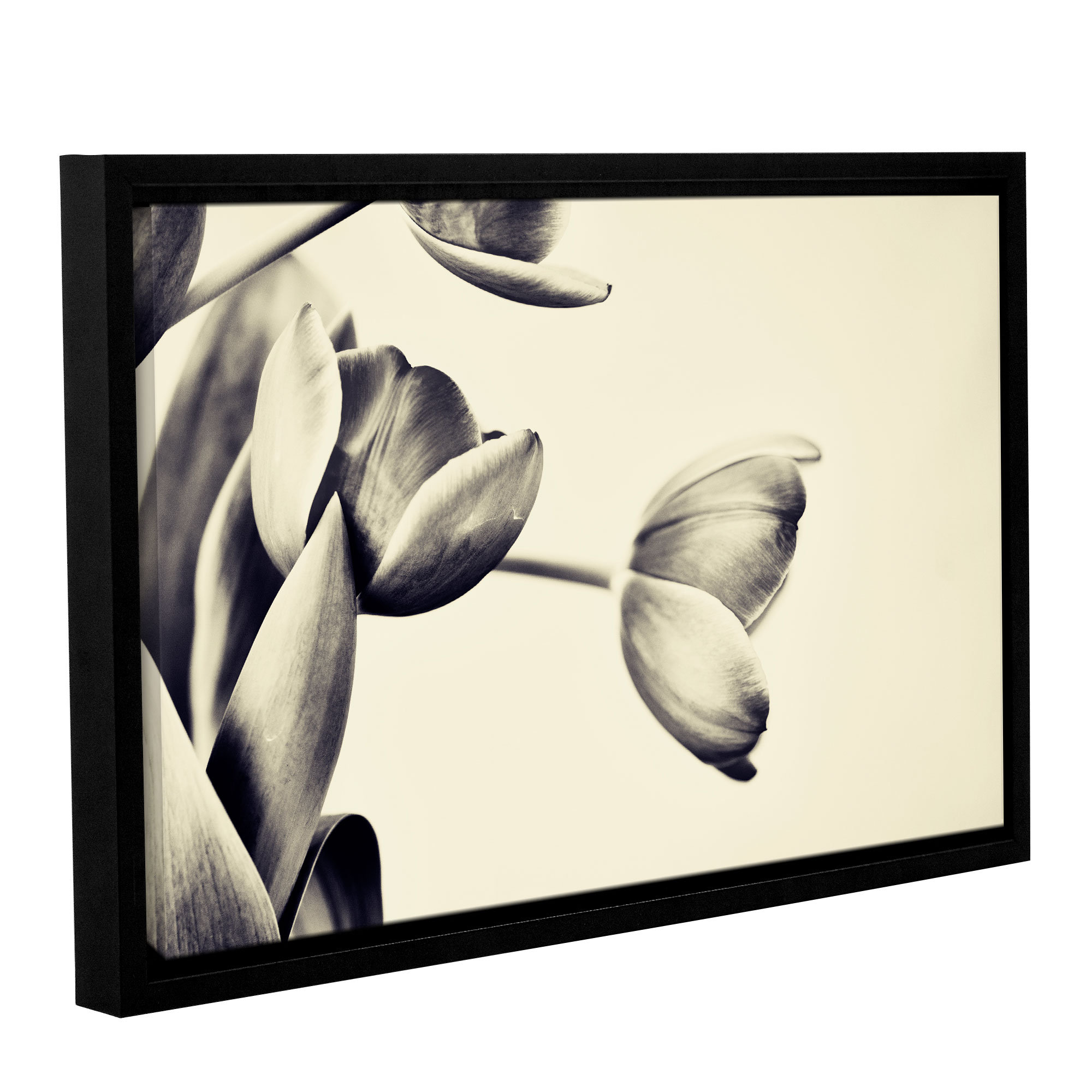 Ebern Designs 'Tulips 1' by Elena Ray Framed Painting Print on Wrapped ...