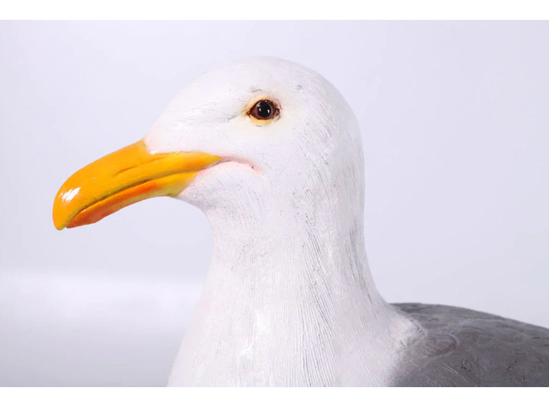 Rosecliff Heights Bushrah Seagull Life Size Statue | Wayfair