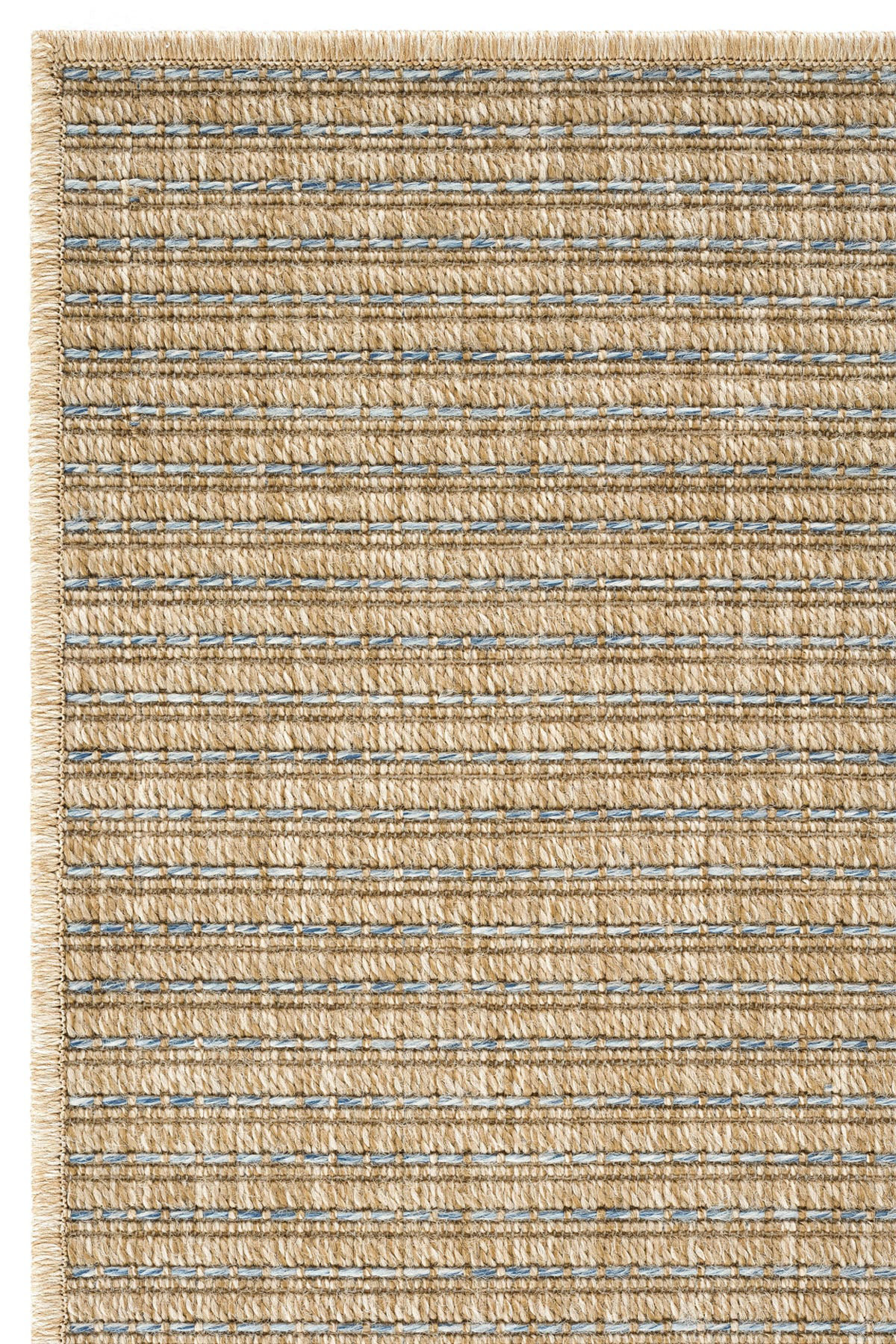 Hokku Designs Madrid Natural Blue Sisal Textured Cut Pile Rug | Wayfair