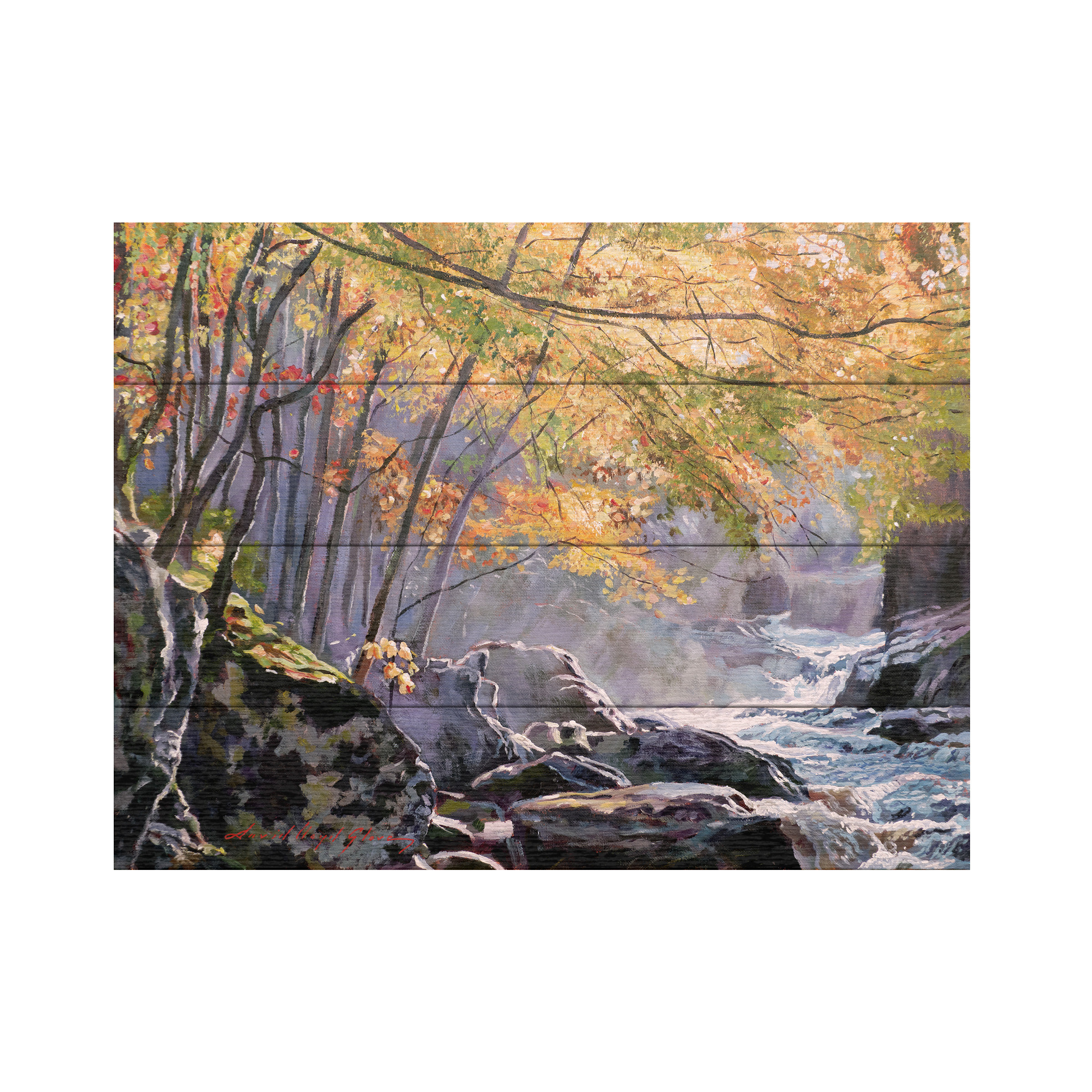 Trademark Fine Art David Lloyd Glover 'Autumn Glen' Wood Slat Art | Wayfair