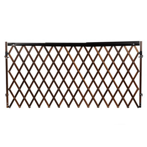 Evenflo Expansion Walk Thru Safety Gate & Reviews | Wayfair