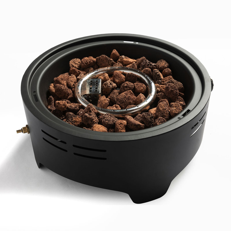 Fu Owner Outdoor Portable Propane Fire Pit | Wayfair