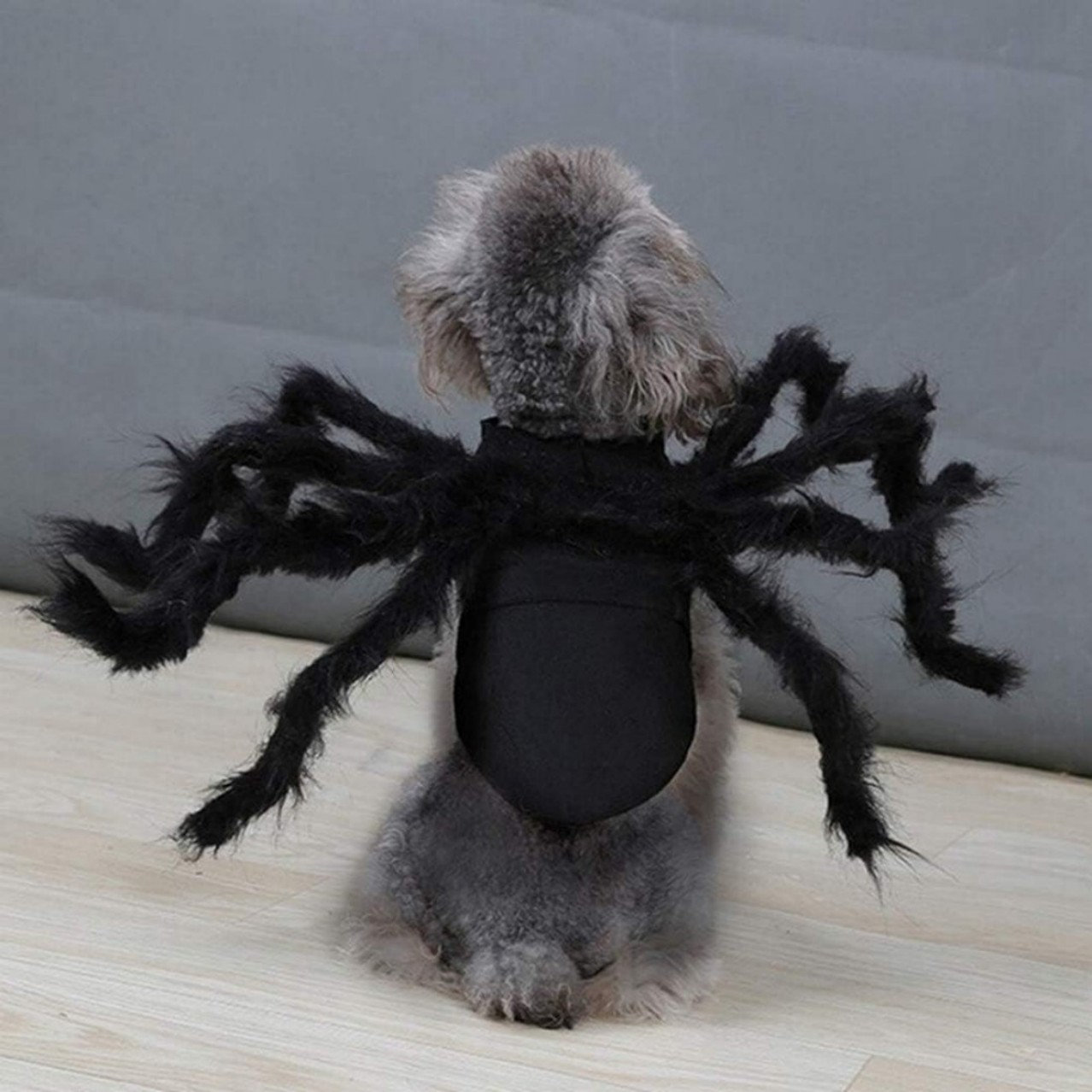 Tucker Murphy Pet™ Dog Cat Spider Costume For Halloween Party ...