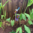 Regal Art & Gift Goofy Bird Stake - Crane & Reviews | Wayfair