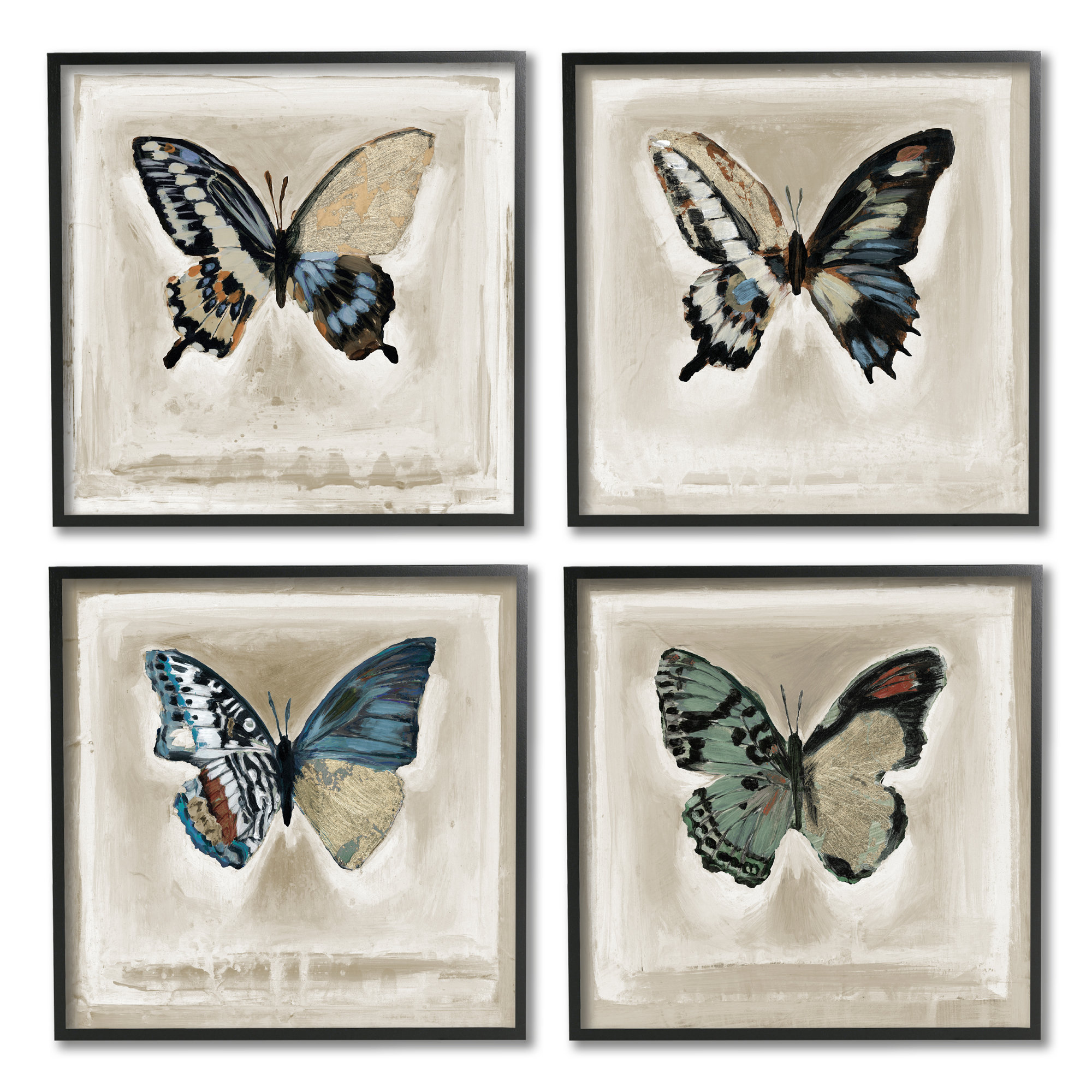 Rosalind Wheeler Asymmetrical Butterfly Wing Patterns by Stacy D ...