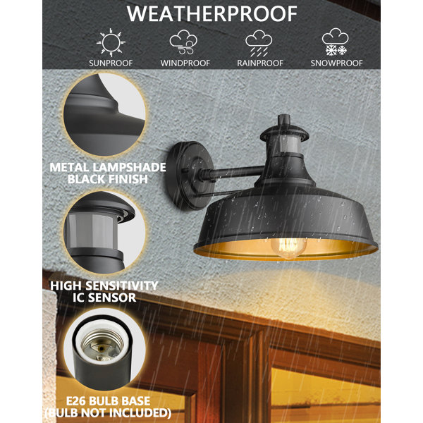 Beachcrest Home™ Maxwellton Motion Sensor Farmhouse Barn Light Outdoor ...