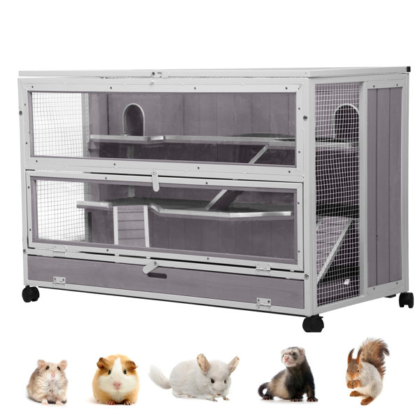 Tucker Murphy Pet™ Guinea Pig Cages - Metal Iron Frame, Hamster Cage ...