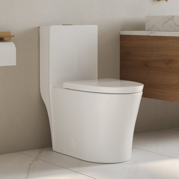 EVERSTEIN Modern Elongated One - Piece Dual Flush Toilet - 1.1/1.6 Gpf ...