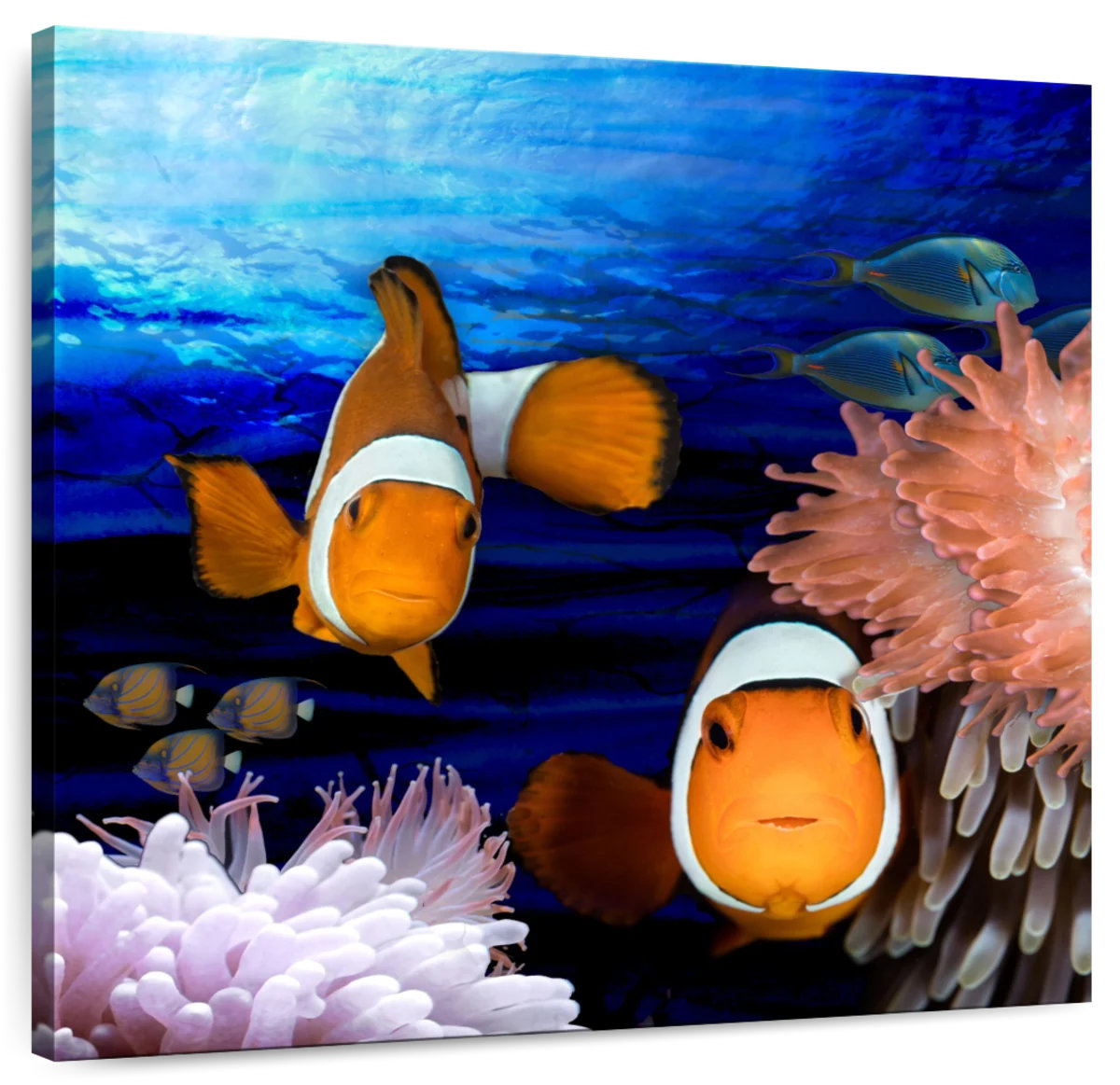 Ebern Designs Crowle Sea Creatures Clown Fish | Wayfair