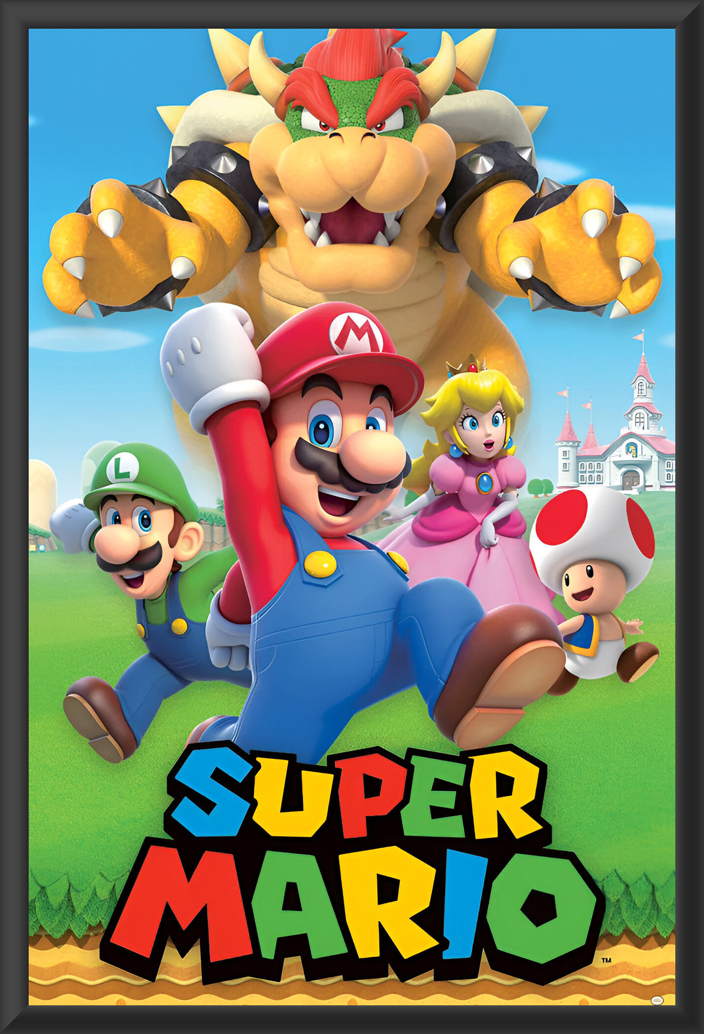 Winston Porter " Super Mario - Character Montage " | Wayfair