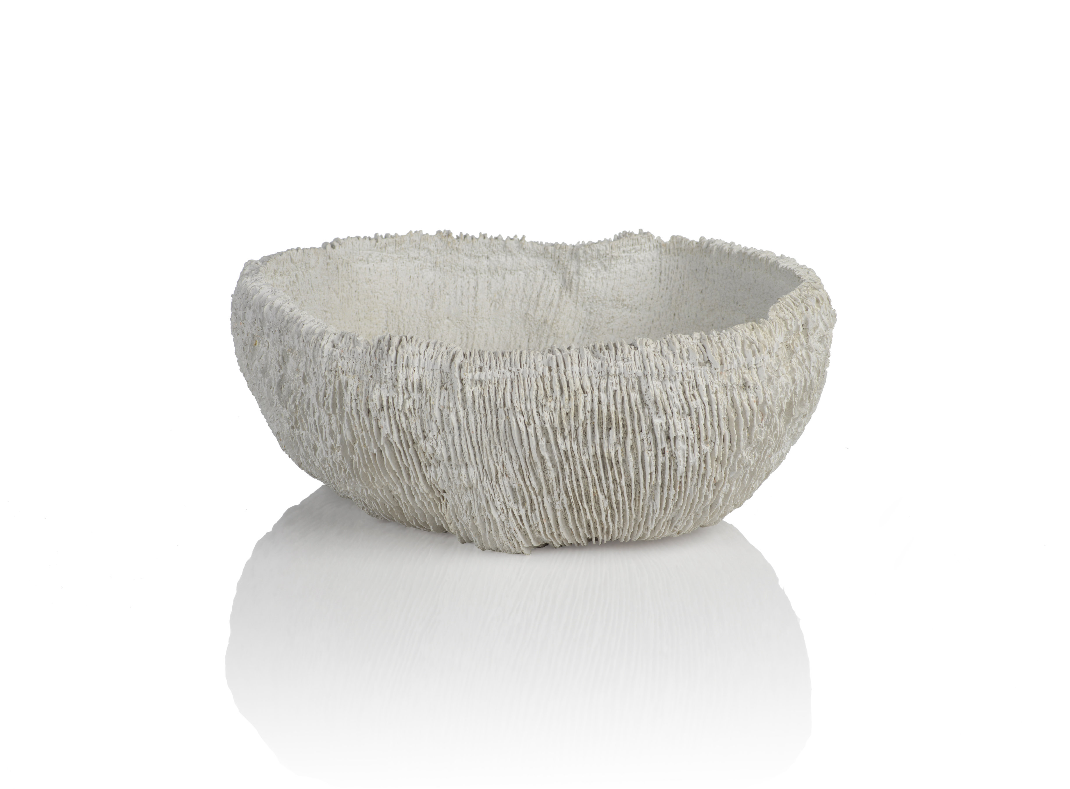 Dakota Fields Portia Resin Coastal Decorative Bowl in Off-White | Wayfair