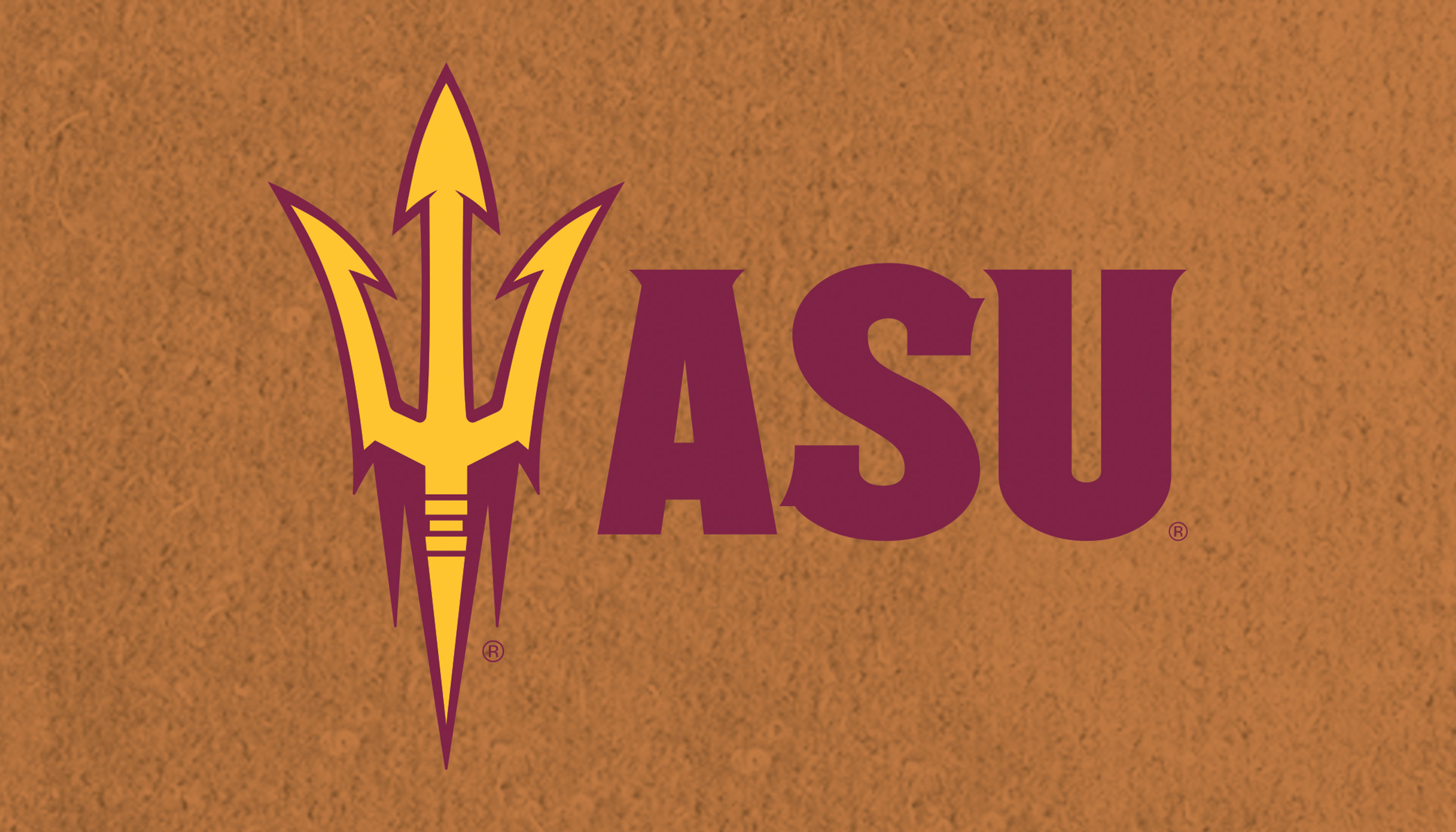 Evergreen Enterprises, Inc Coir Mat, 16"X28", Arizona State University ...
