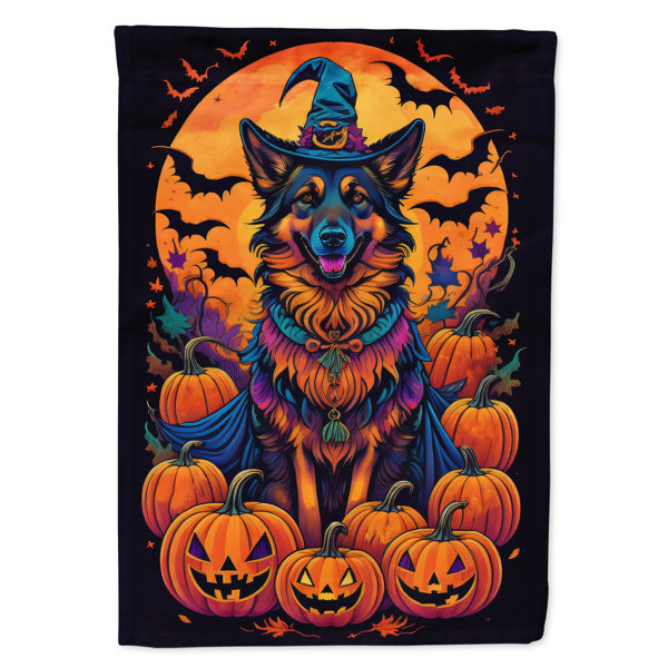 Halloween Flags You'll Love | Wayfair
