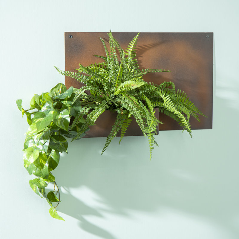 AllModern Kaiser Rust Finish Metal Indoor/Outdoor Wall Planter ...