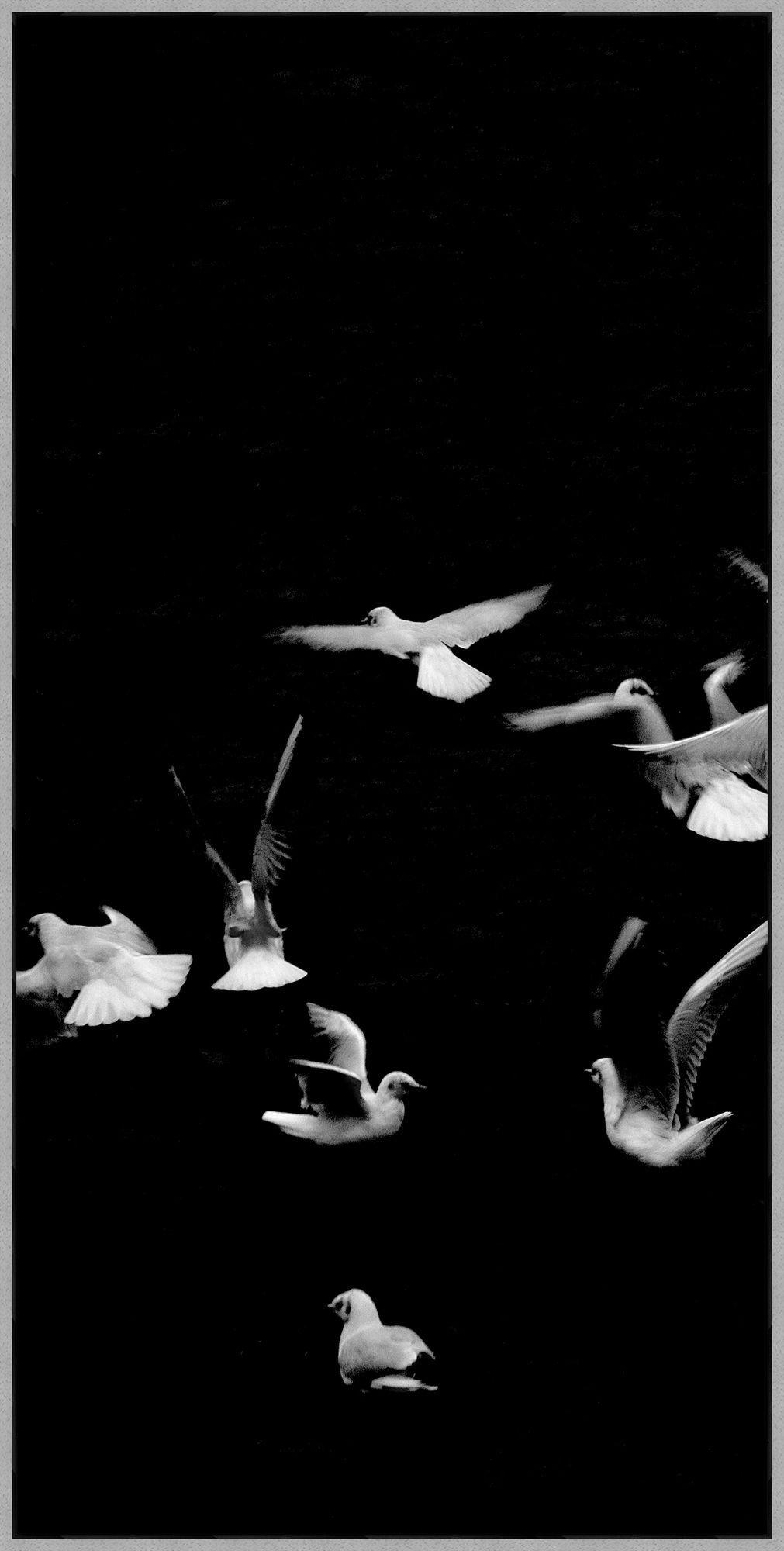 Wendover Art Group Fly Together 1 by Thom Filicia - Floater Frame ...