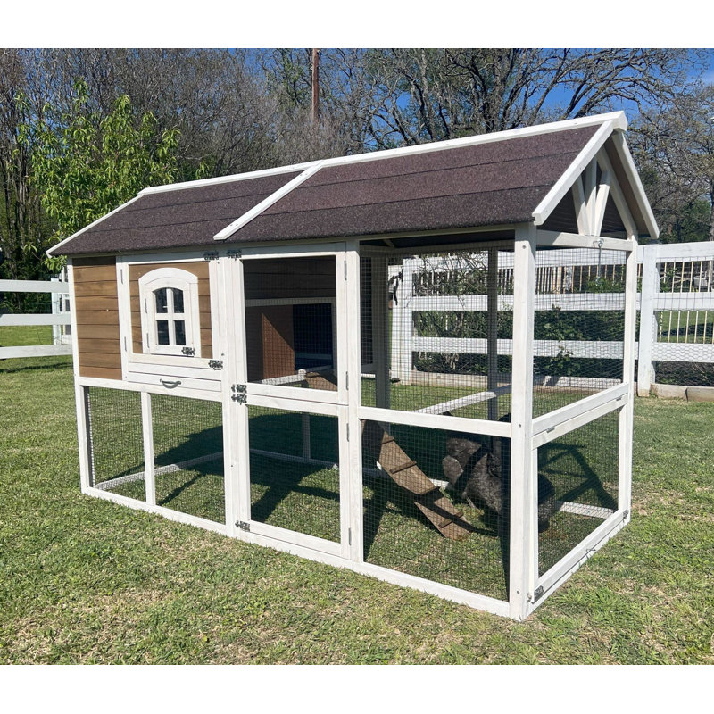 Zylina 24 Square Feet Chicken Coop with Nesting Box For Up To 8 ...