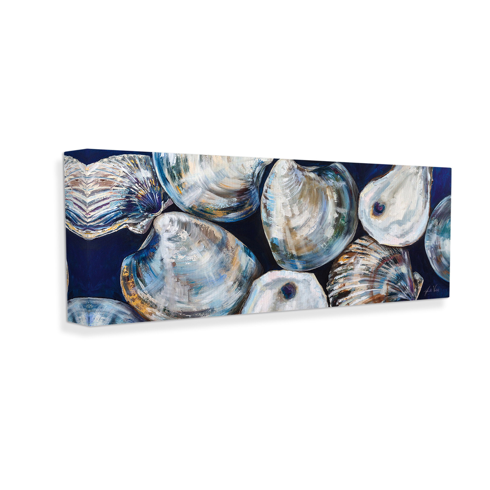 Winston Porter Various Sea Clams Canvas Wall Art by Jeanette Vertentes ...
