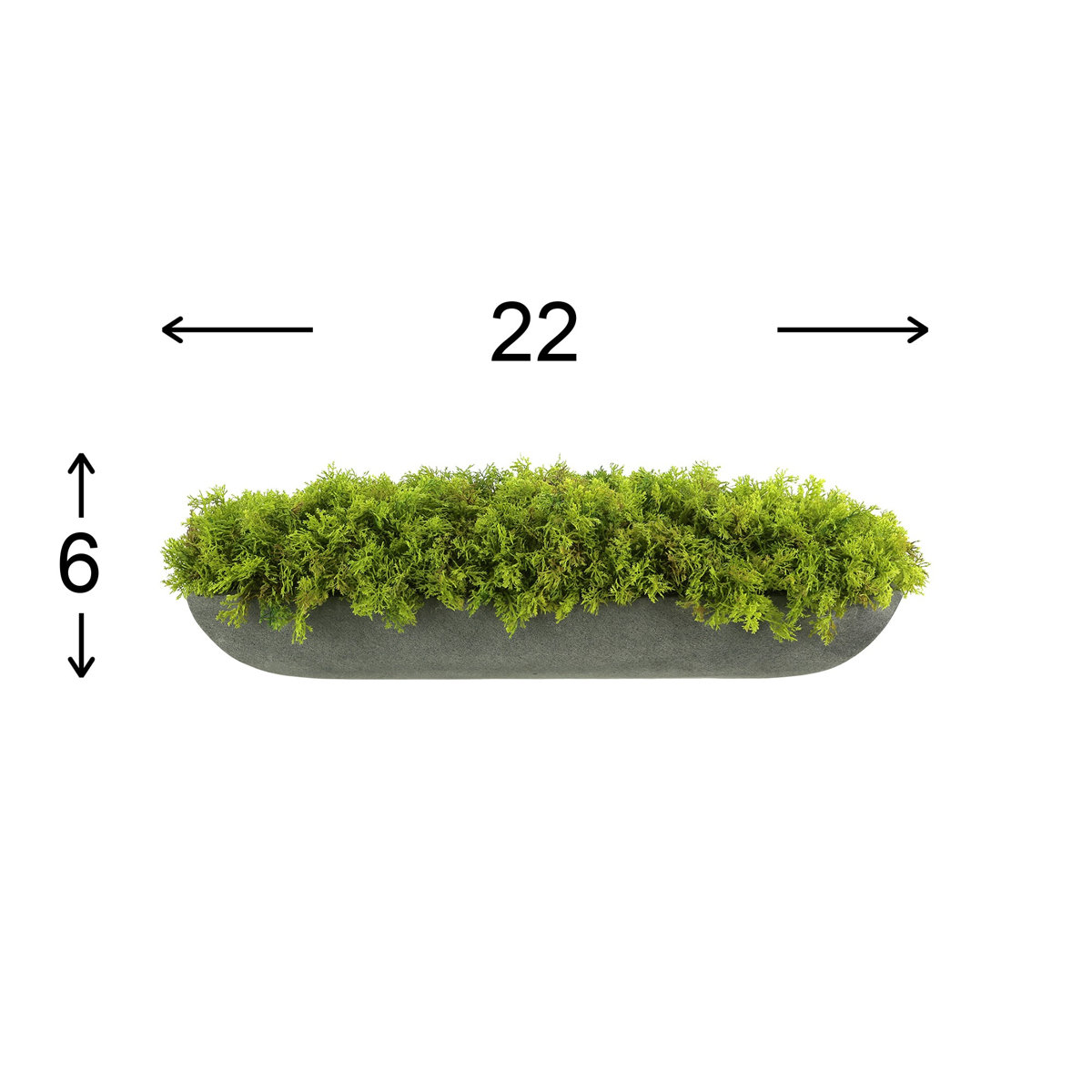 Creative Displays, Inc. Moss 6" Artificial in Fiberstone Planter ...