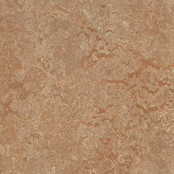 Eco Cork Foam Cork Underlayment Roll (300 sq.ft./roll) & Reviews | Wayfair