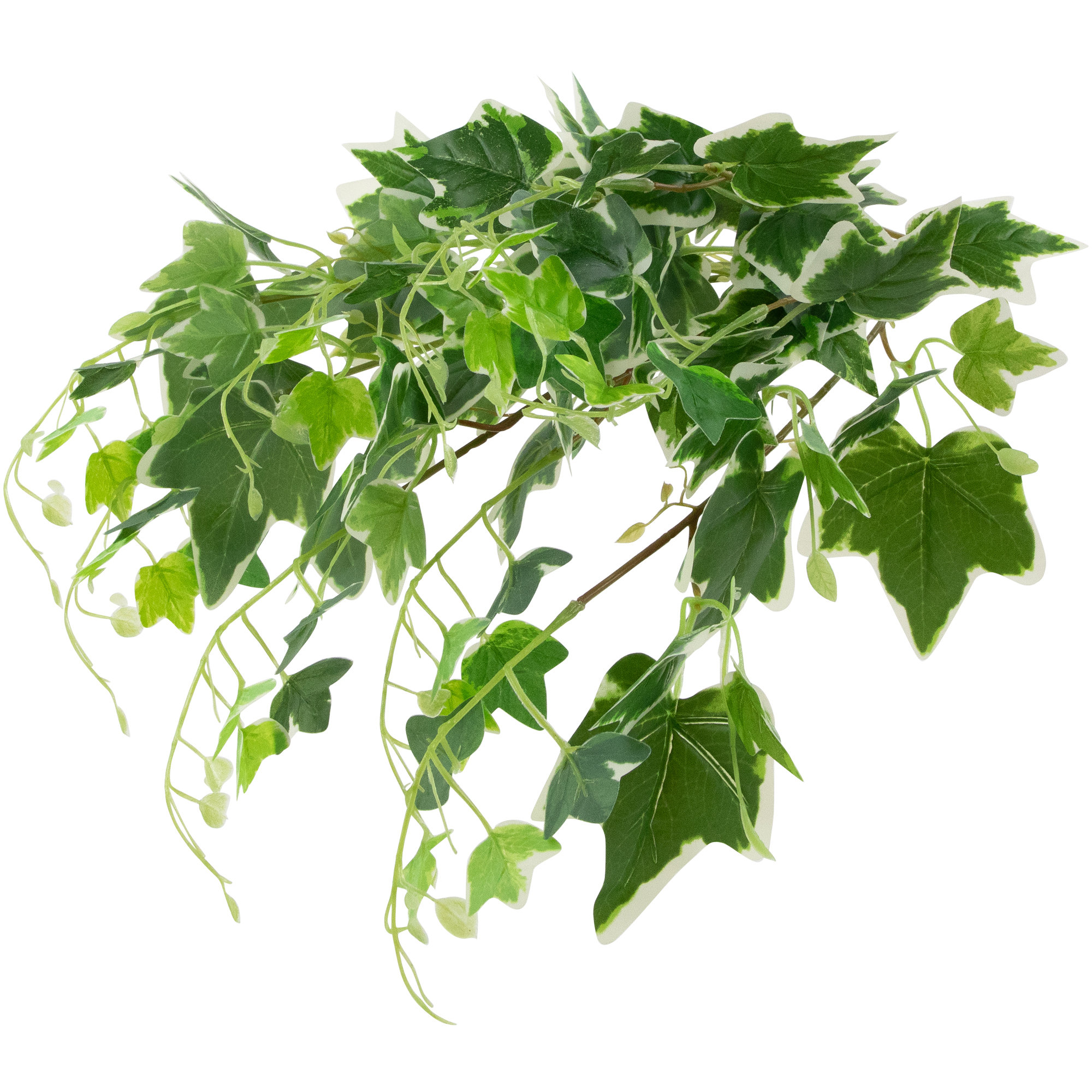 Northlight Seasonal Green and White Ivy Spring Floral Hanging Bush ...