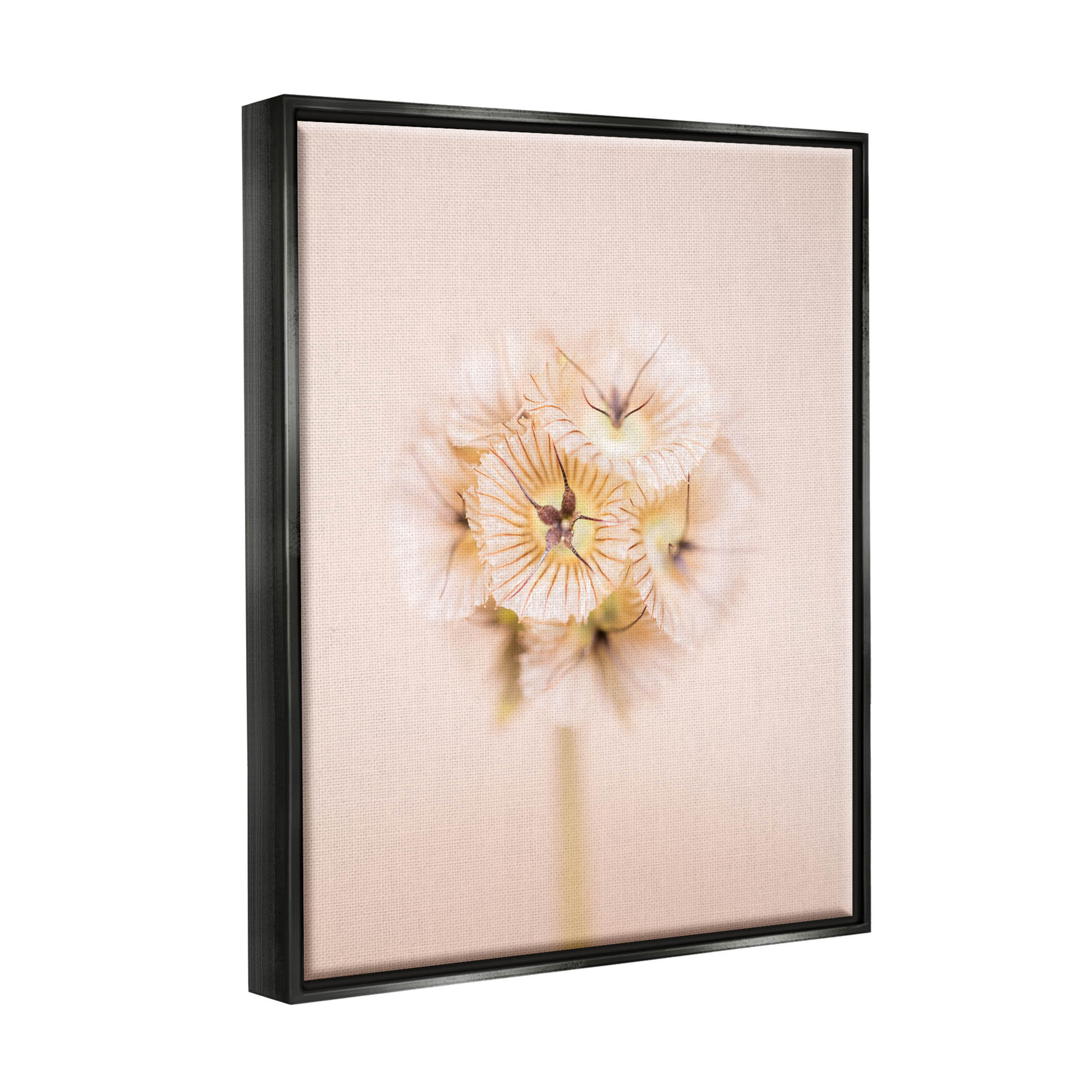 Stupell Industries Pastel Pink Floral Sprig Bloom Framed Floater Canvas ...