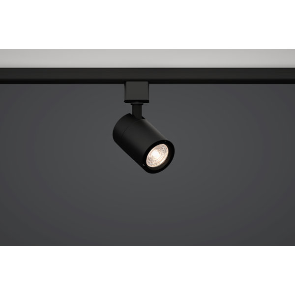 Bruck GX 10 Juno Track Light Head | Wayfair