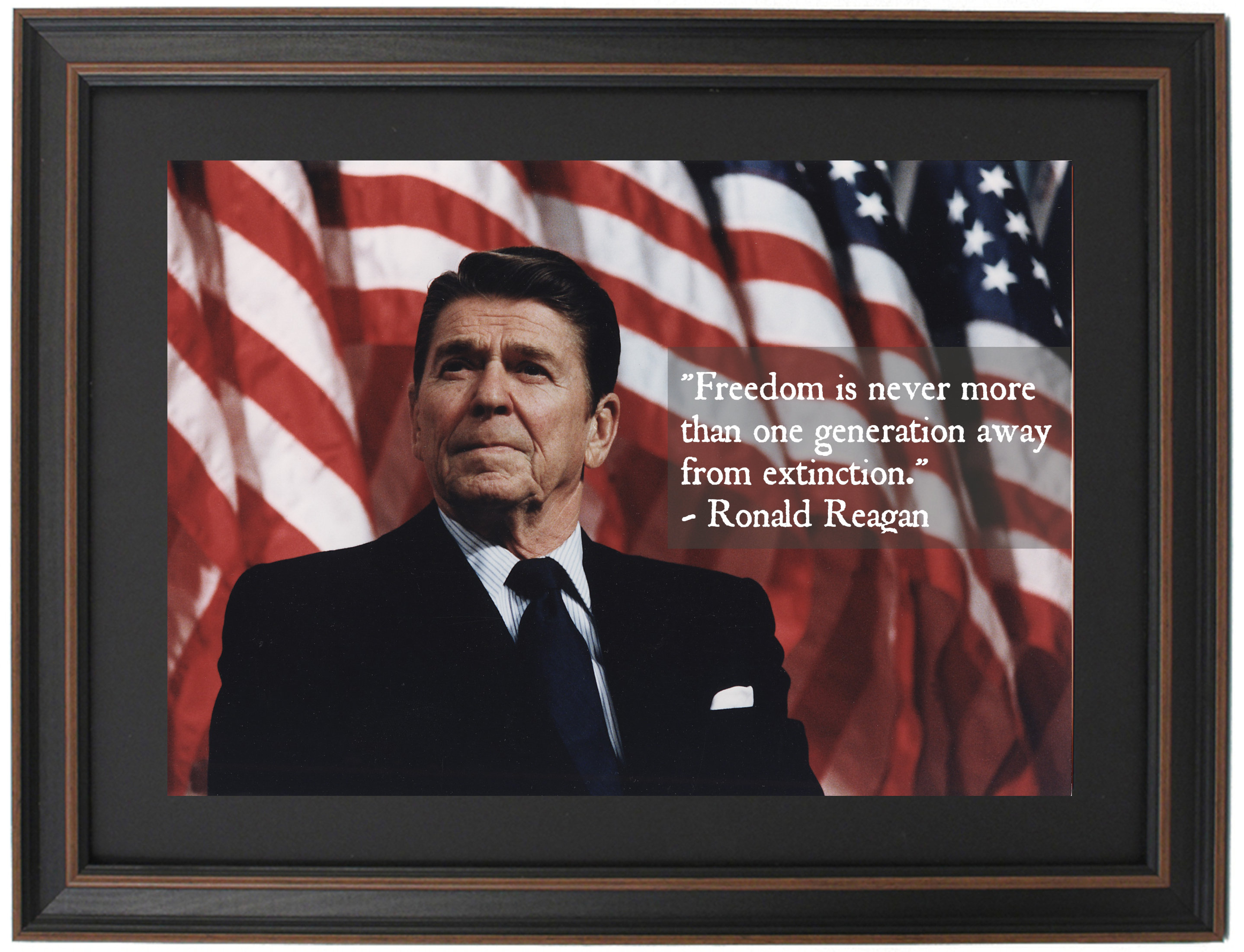 Canora Grey Ronald Reagan, Portrait & Quote, “Freedom Is Never More ...
