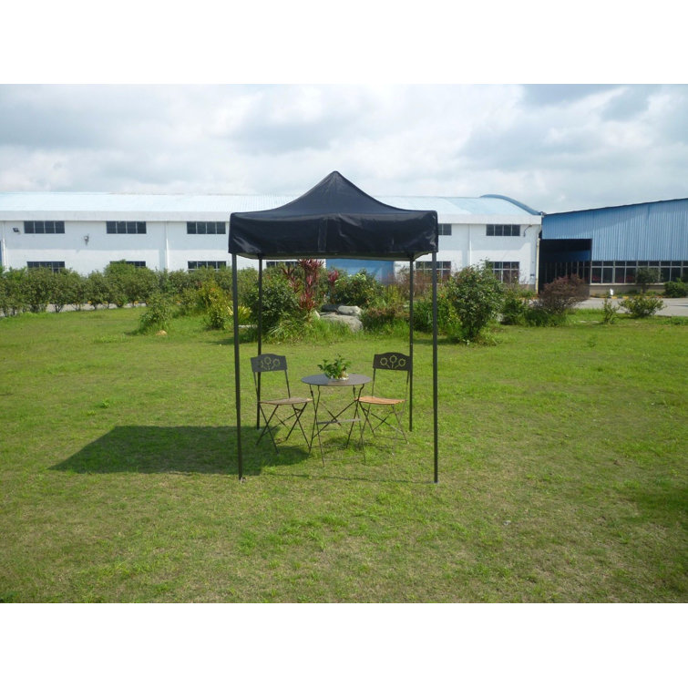 American Phoenix 5 Ft. W x 5 Ft. D Steel Pop-Up Canopy & Reviews | Wayfair