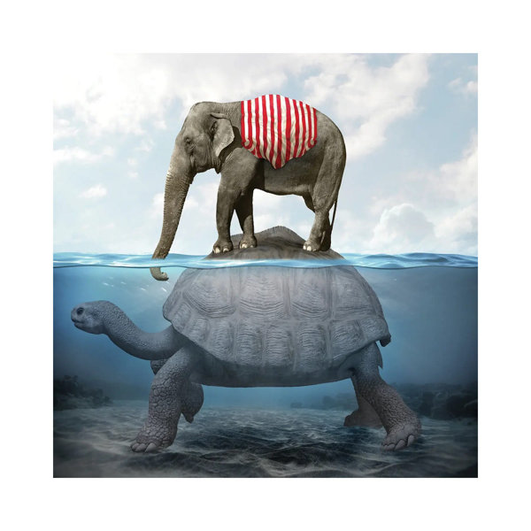Maturi Elephant Turtle I | Wayfair.co.uk