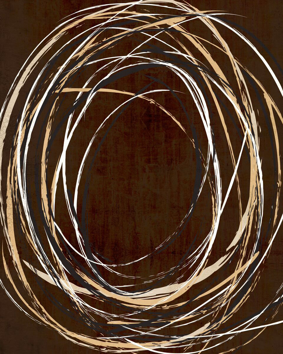 Chelsea Art Studio Nested Feathers I - Graphic Art Print on Glass | Wayfair