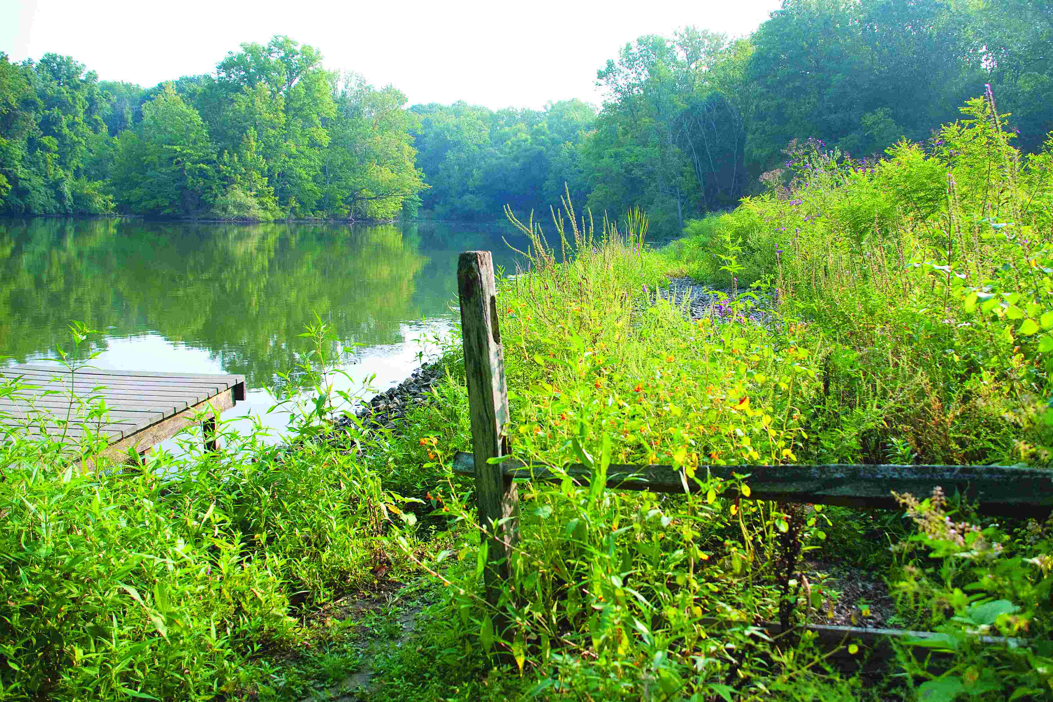 Millwood Pines Lake View - Wrapped Canvas Photograph | Wayfair