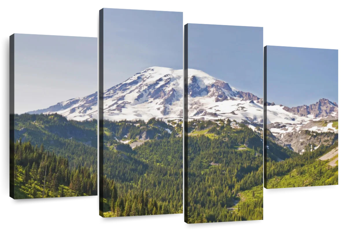 Millwood Pines Alvord Mt. Rainier Valley | Wayfair