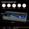 Sentry Safe SentrySafe Quick Access Pistol Safe with Biometric Dual ...