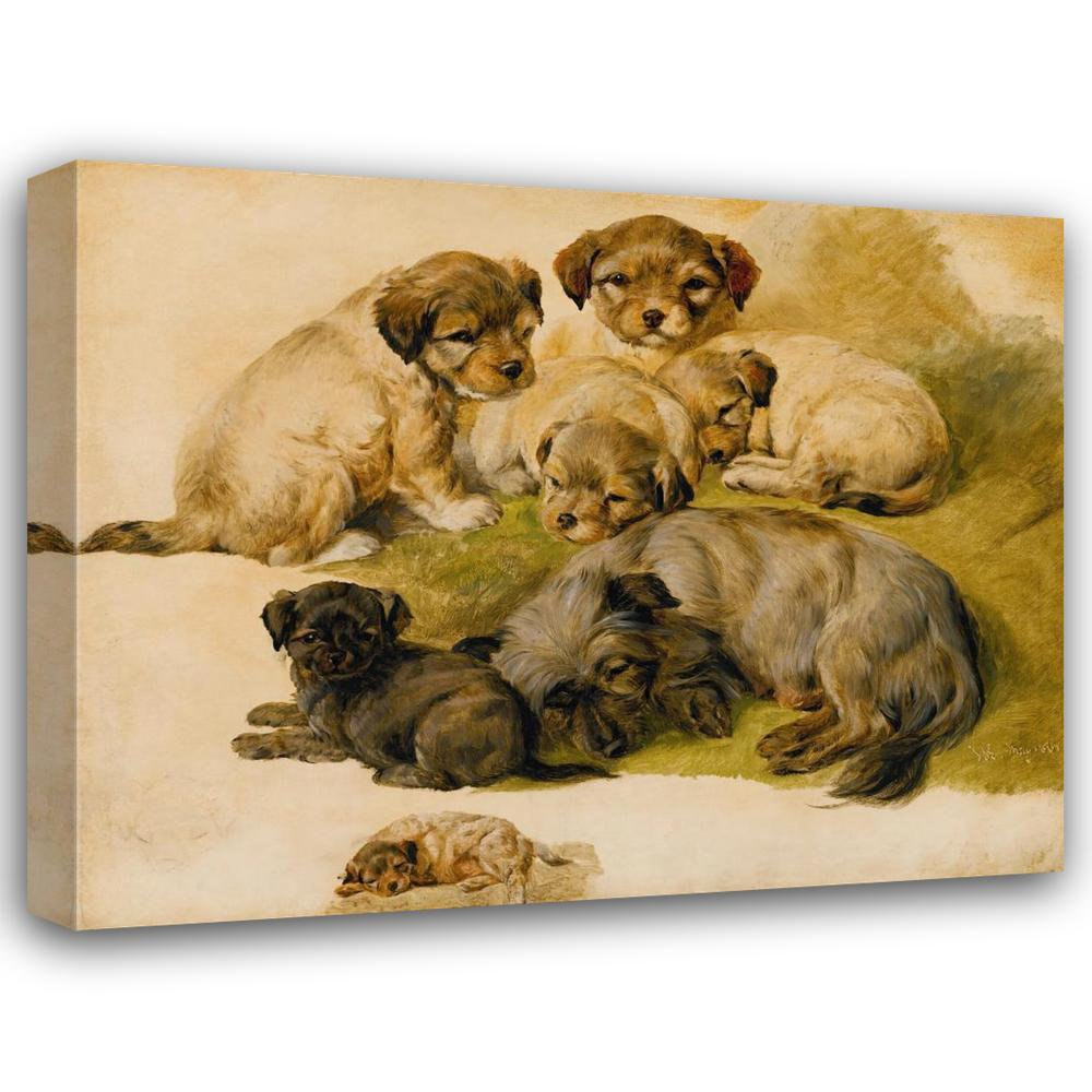 Lark Manor™ "Study of A Terrier And Puppies" by Circle Of Sir Edwin ...