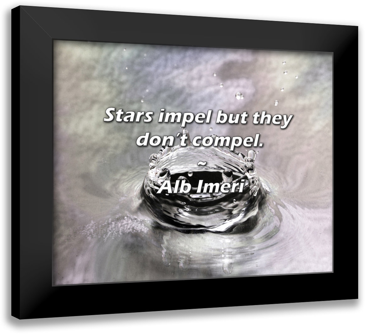 Latitude Run® Alb Imeri Quote: Stars impel but they don’t compel. - Wayfair Canada