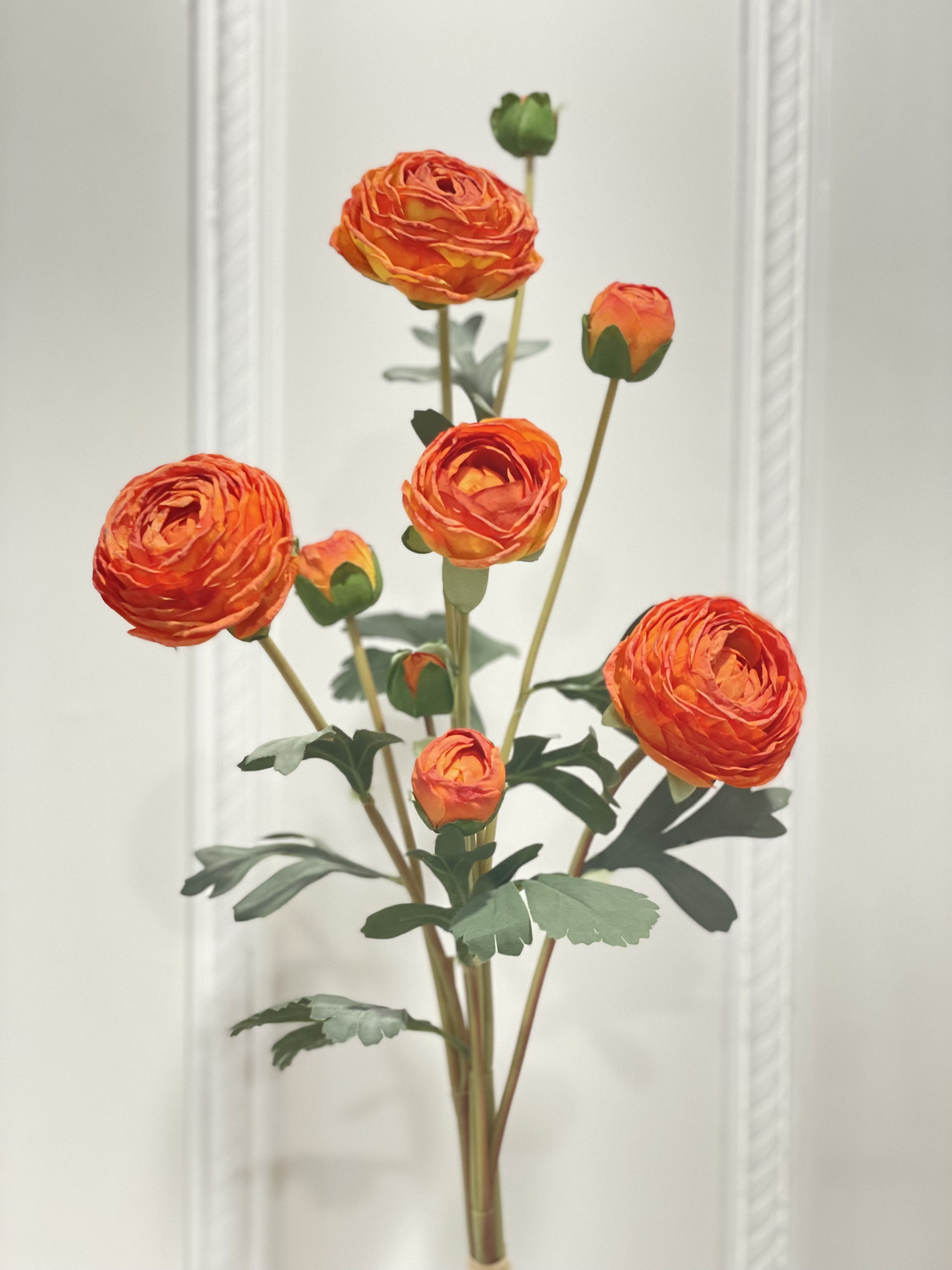 Primrue Ranunculus Stems & Reviews - Wayfair Canada