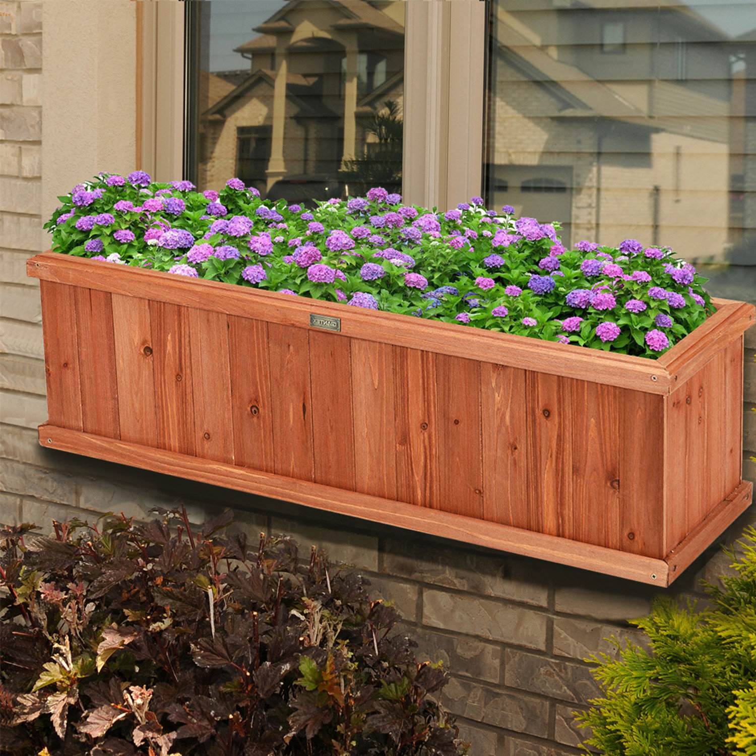 Lark Manor Ivaan Wooden Window Planter Box & Reviews - Wayfair Canada