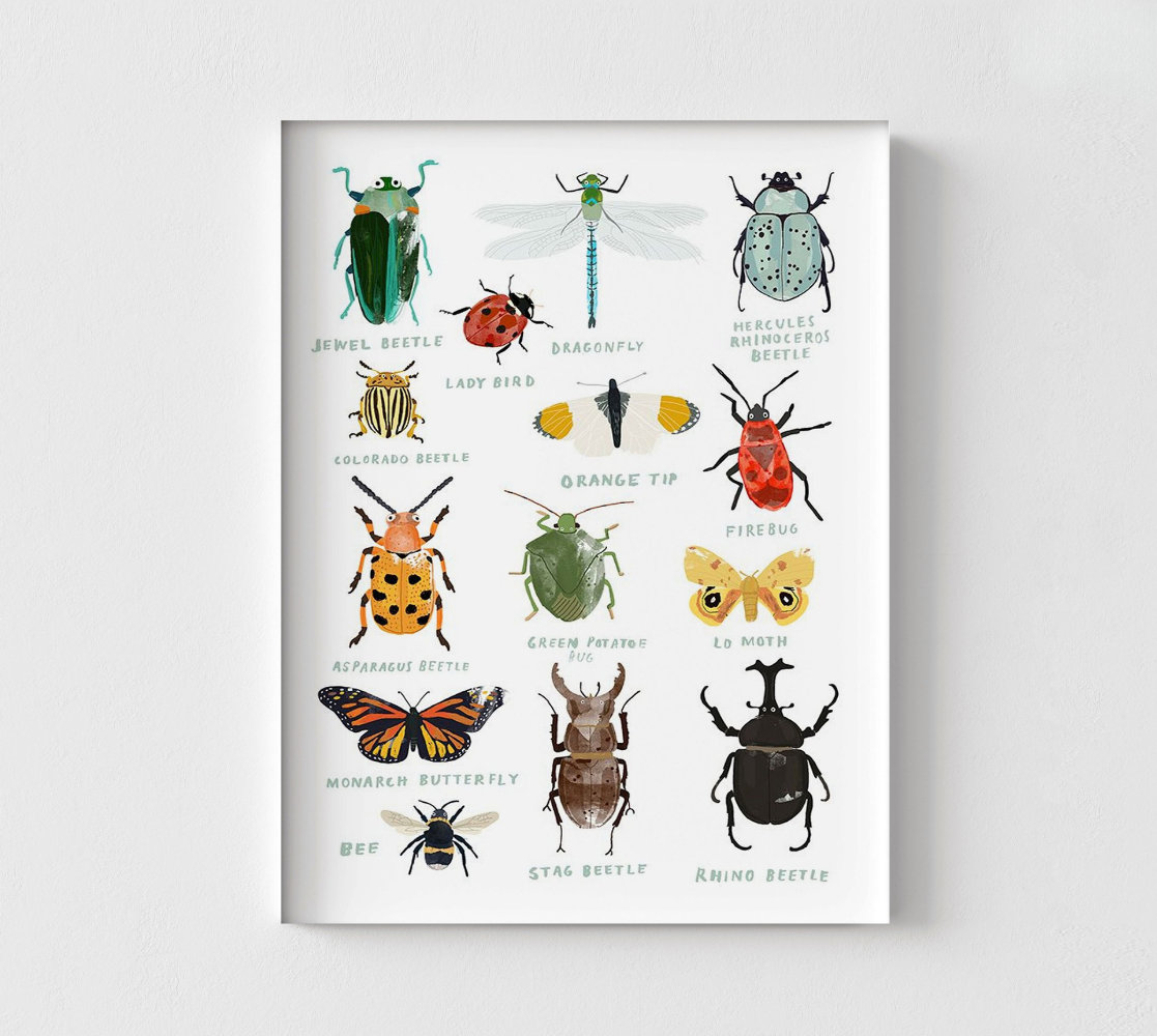 WeFrameArt Bugs By Hanna Melin, Entomologist Office Decor, Asparagus ...