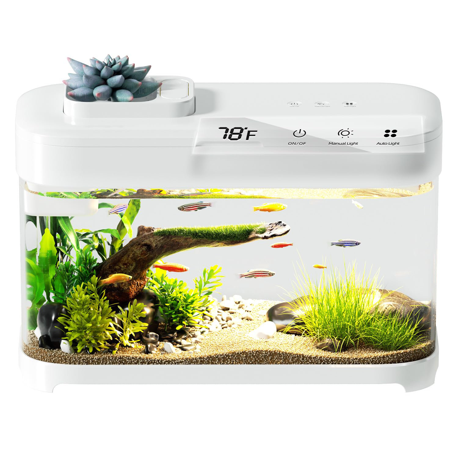 Wrought Studio™ Smart Betta Fish Tank Aquarium 3 Gallon With ...