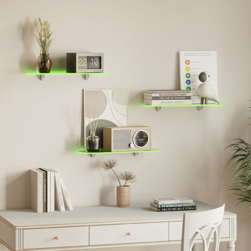 Ebern Designs Cavanaville Oval Floating Shelf, Wall Mounted Display ...