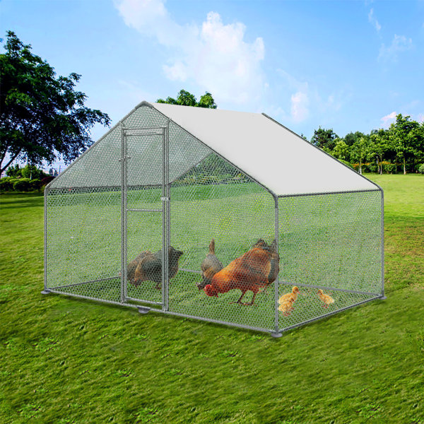Dakota Fields Bazyli 4m² Chicken Run | Wayfair.co.uk