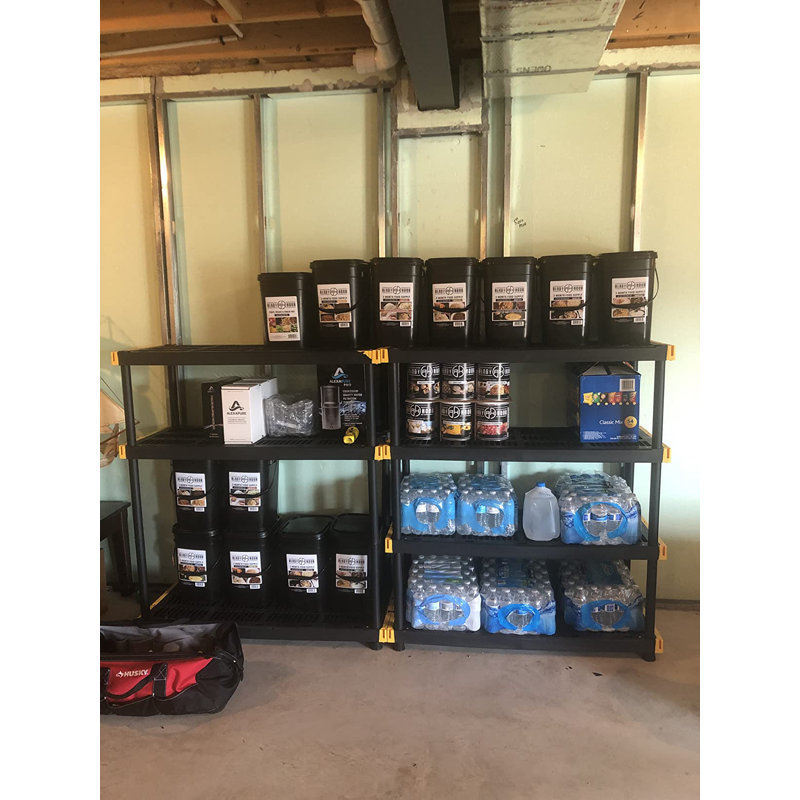 WFX Utility™ 4-Tier UP TO 200lbs Heavy Duty Plastic Storage Shelving ...