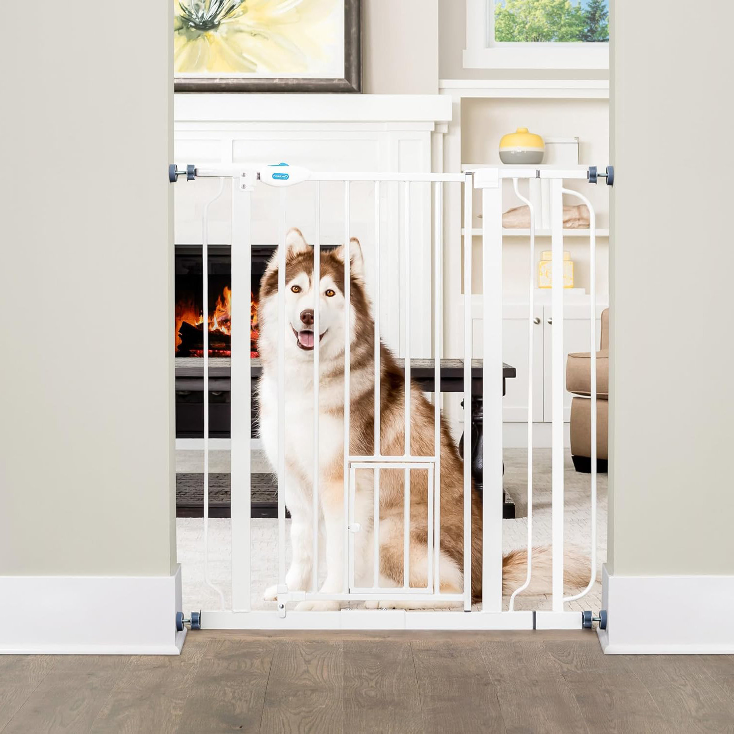 Tucker Murphy Pet™ Extra Tall Walk Through Pet Gate with Small Pet Door ...