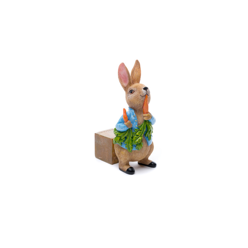 Jardinopia Beatrix Potter Peter Rabbit Coloured Planter Feet In Gift ...