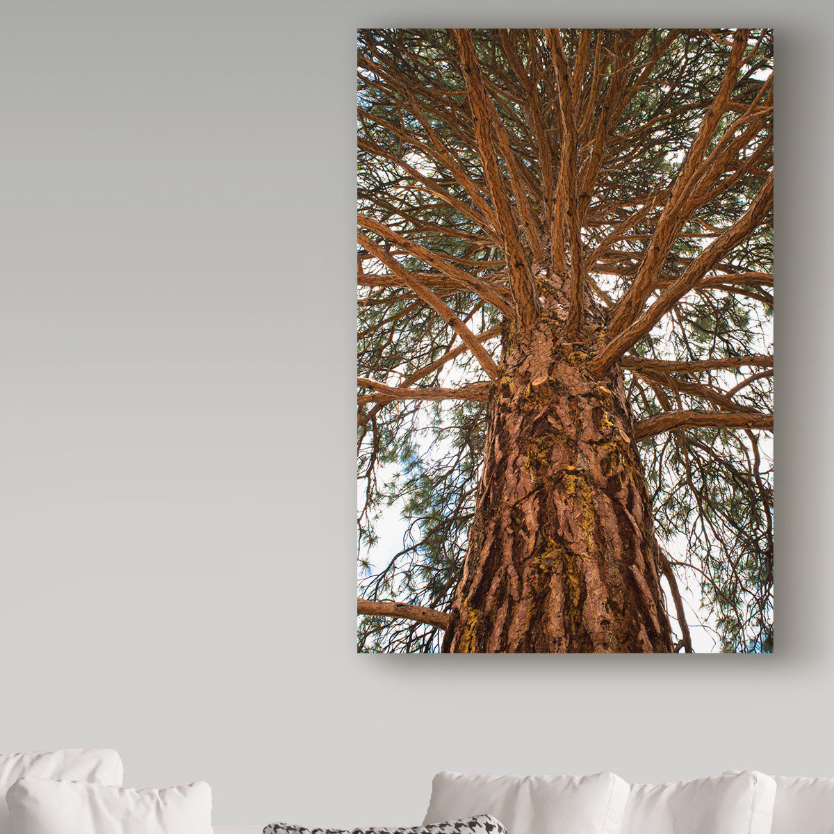 Millwood Pines 'Branching Out Trees' Graphic Art Print on Wrapped ...
