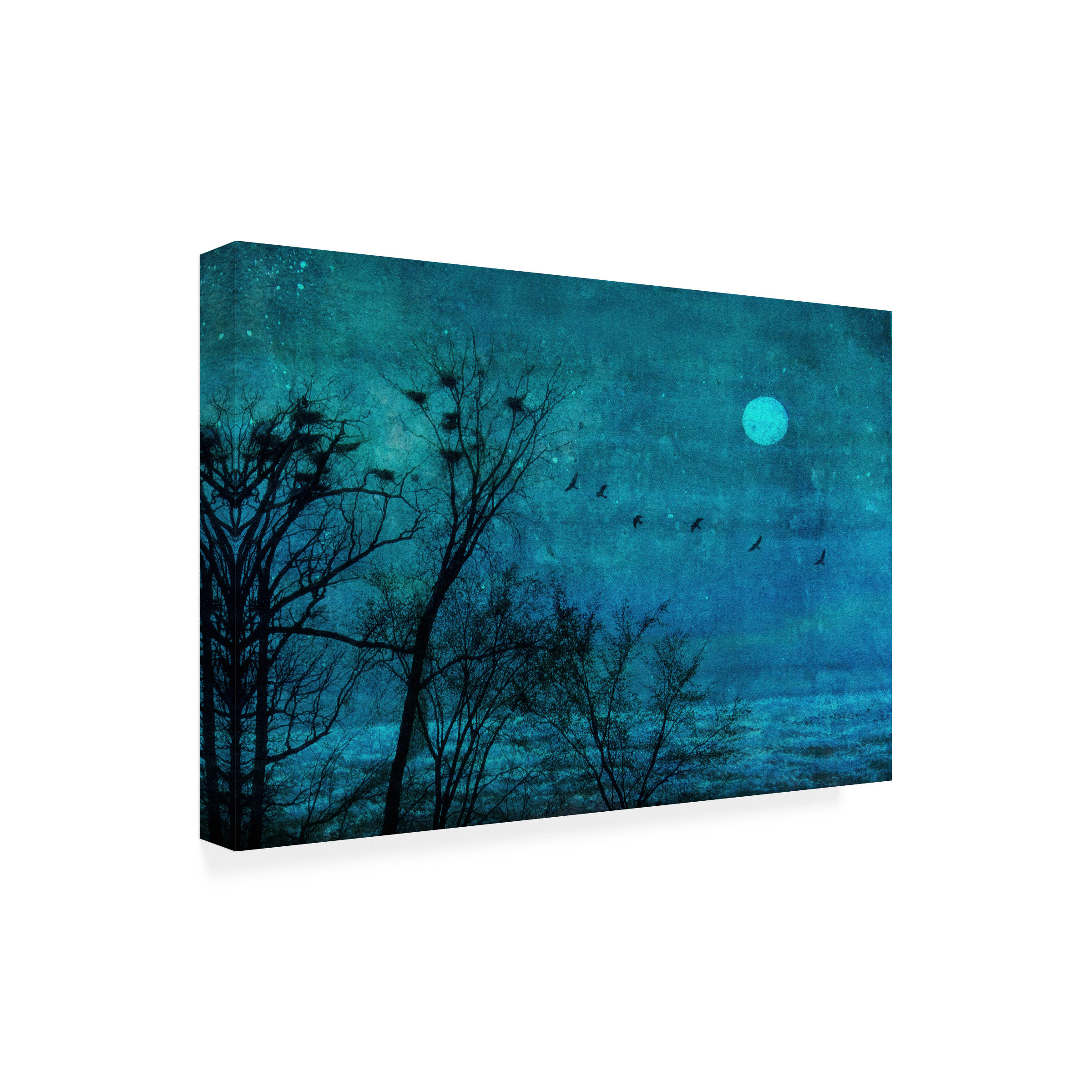 Winston Porter Ellef Birds Of Passage On Canvas by Nel Talen Print ...