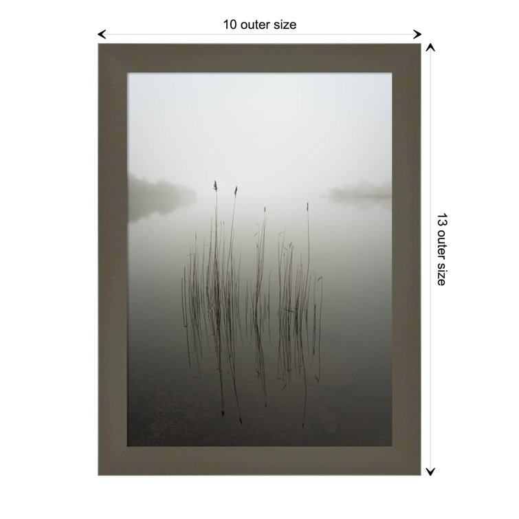 AllModern Reeds In The Mist Framed On Paper by David Ahern Print ...