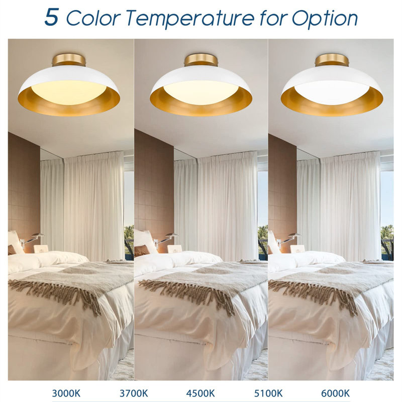 Everly Quinn 16-inch LED Ceiling Light Fixture | Wayfair