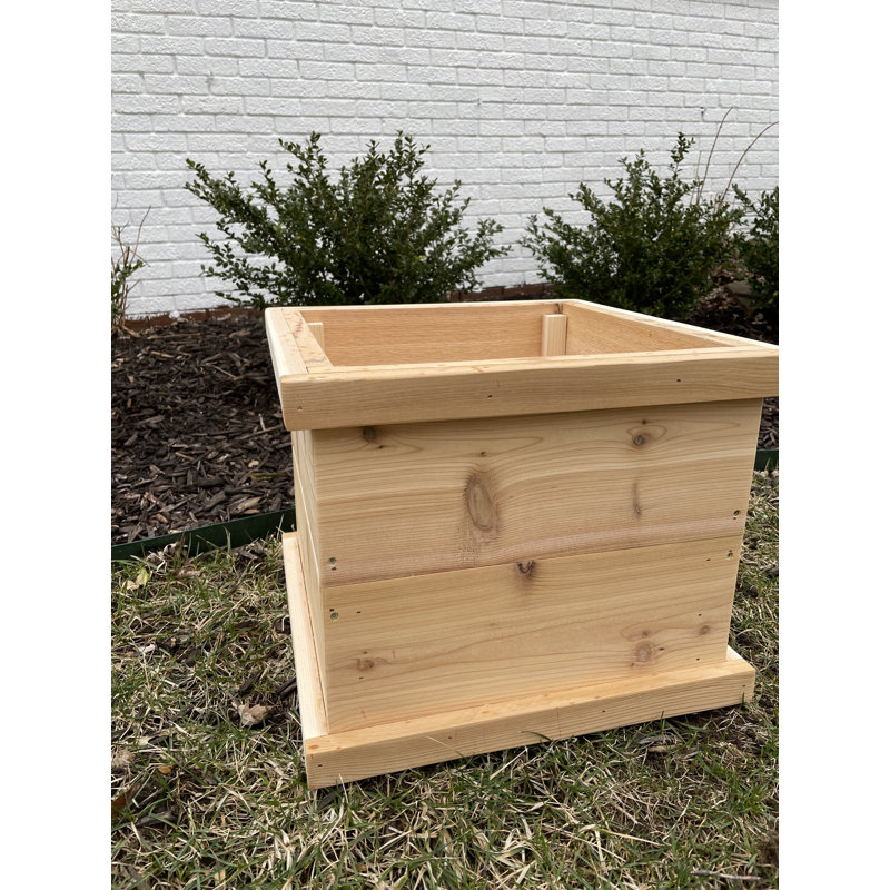 Millwood Pines Kempner Wood Planter Box | Wayfair